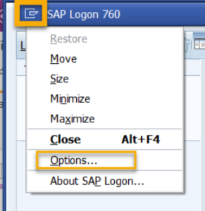 Setting Up an SAP GUI Connection to an SAP Server - SAP Quick Start Academy
